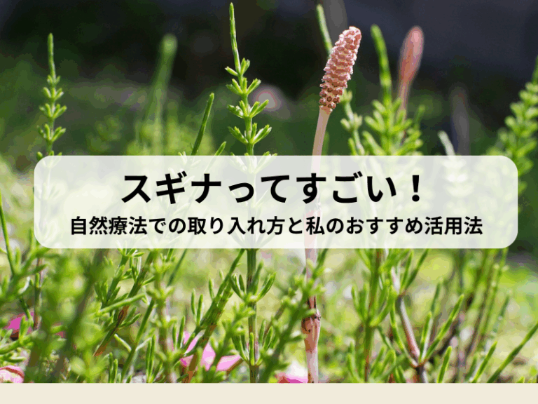 スギナってすごい！自然療法での取り入れ方と私のおすすめ活用法 - 元看護大学教員が教える薬に頼らない暮らし方